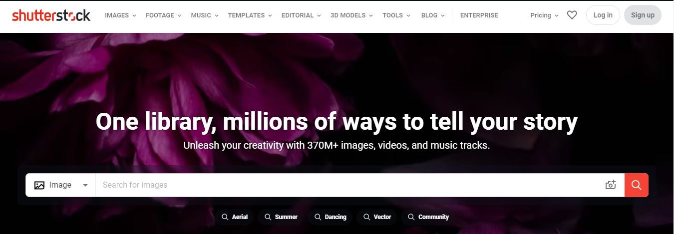 9 Fantastic Stock Image Websites In 2022 Actwitty